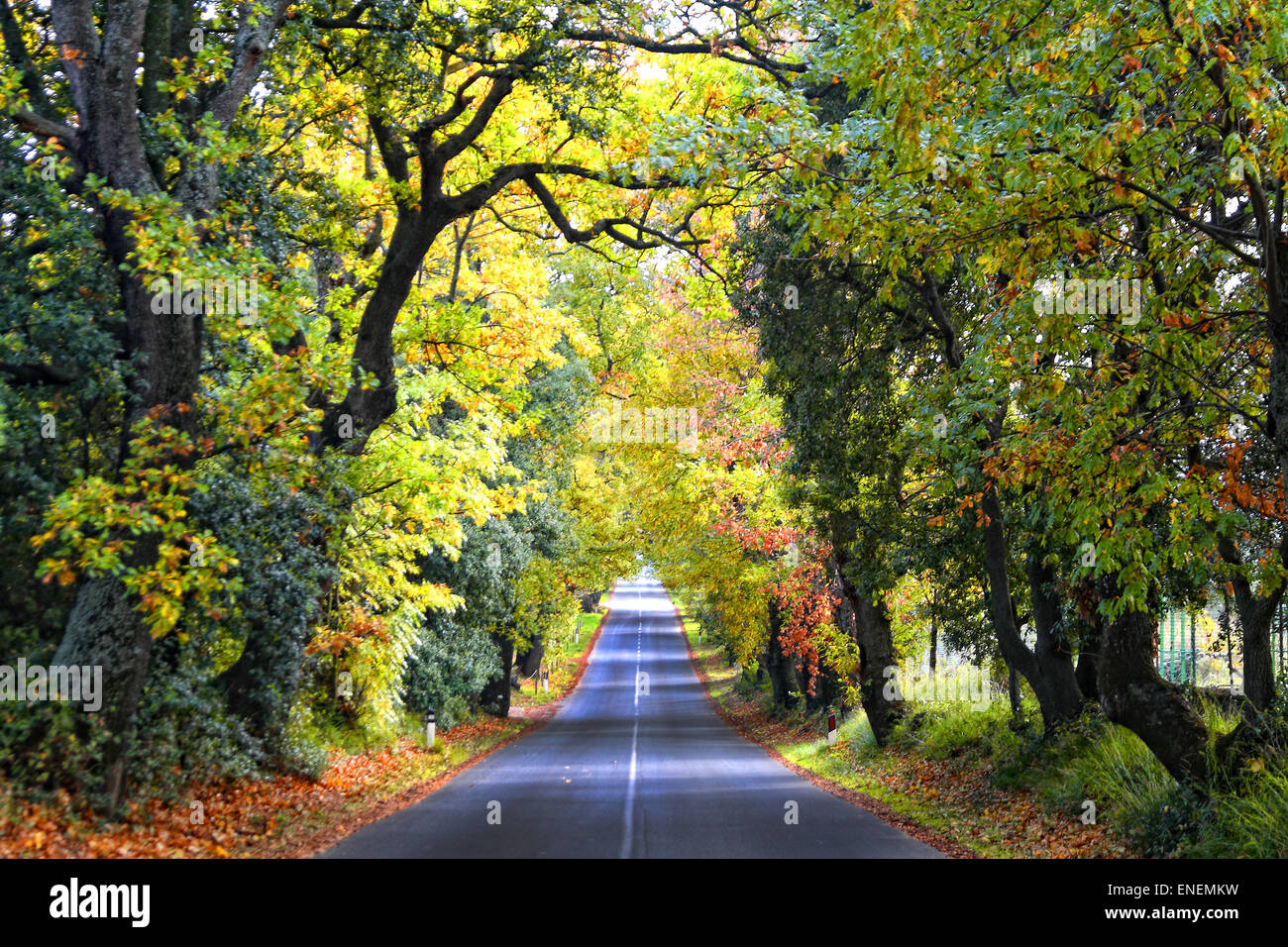Colorful road hi-res stock photography and images - Alamy