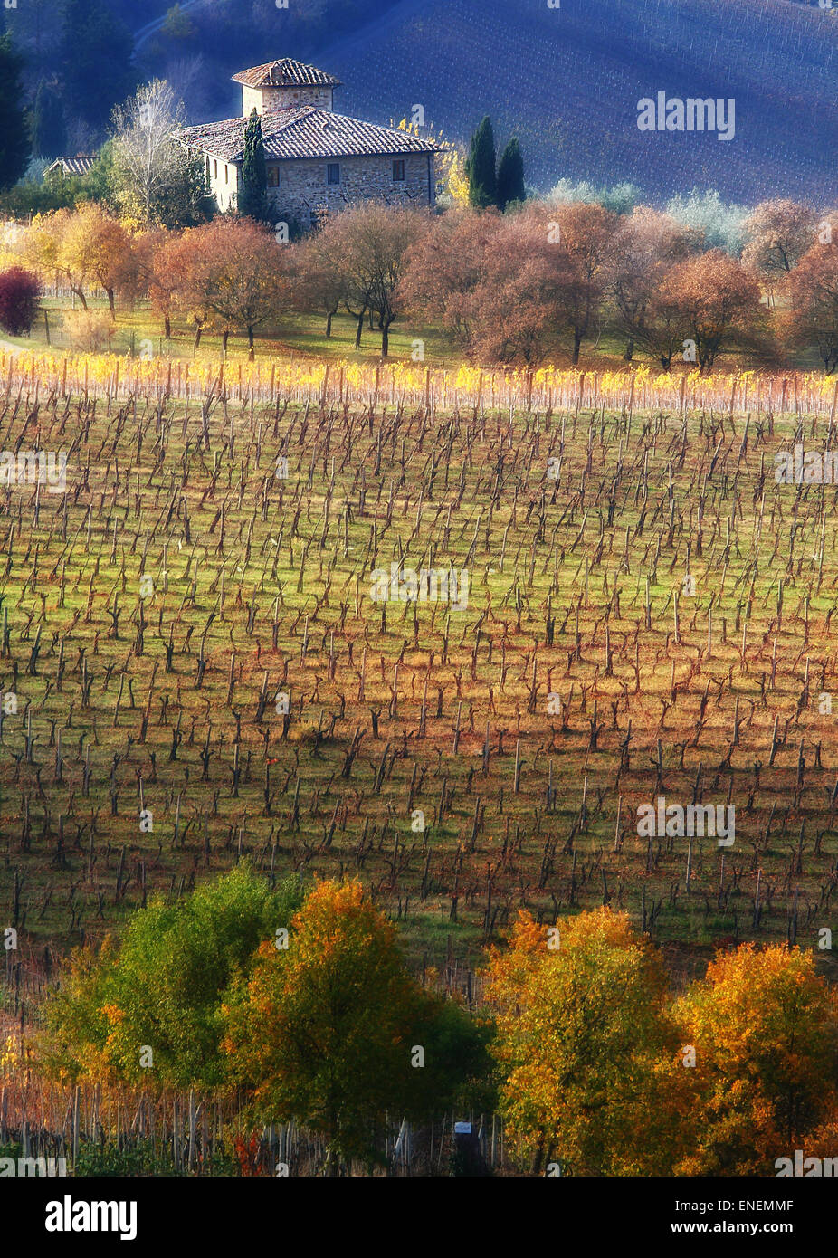 Vineyard cottage hi-res stock photography and images - Alamy