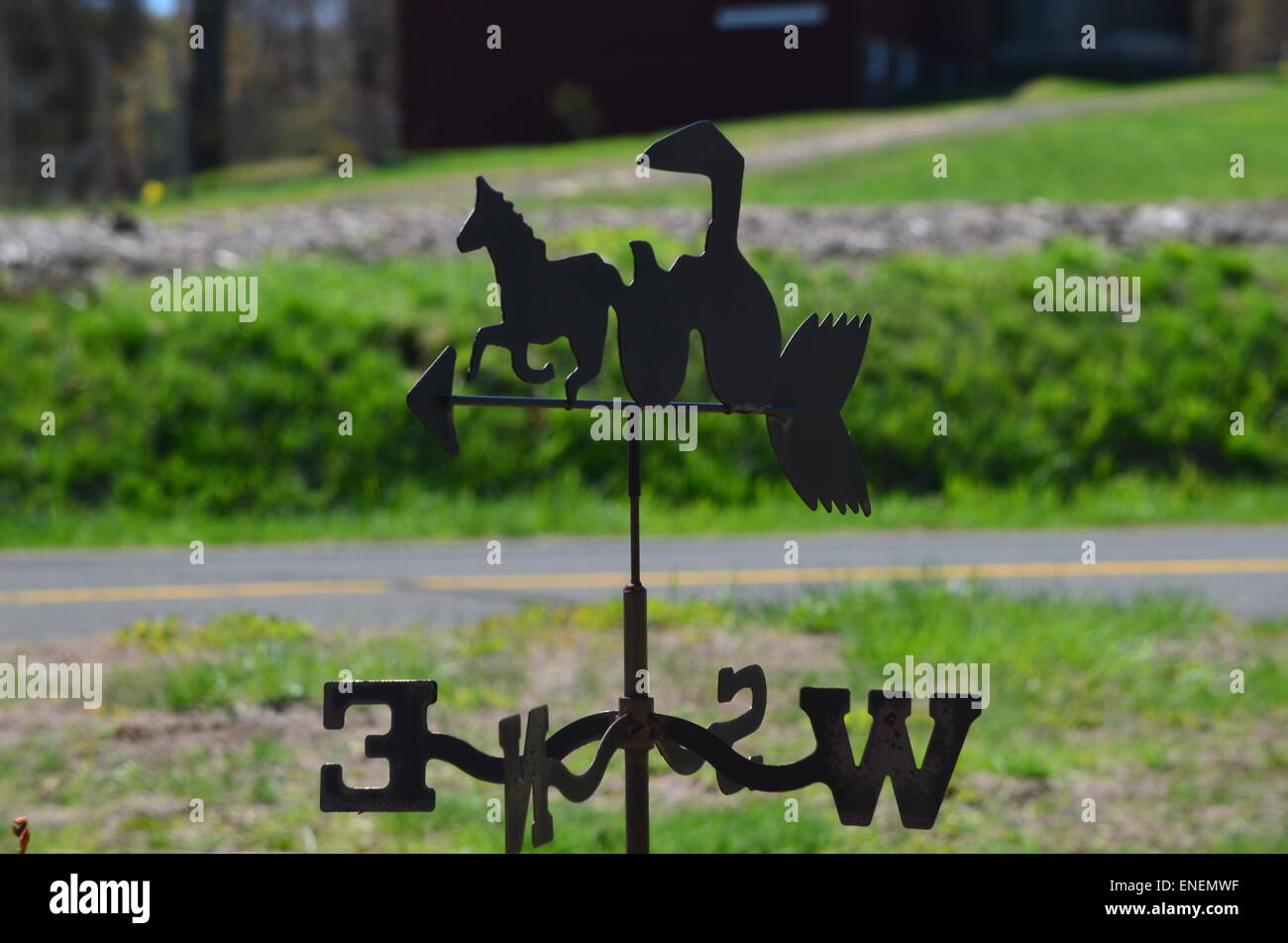 Horse weather vane hi-res stock photography and images - Alamy