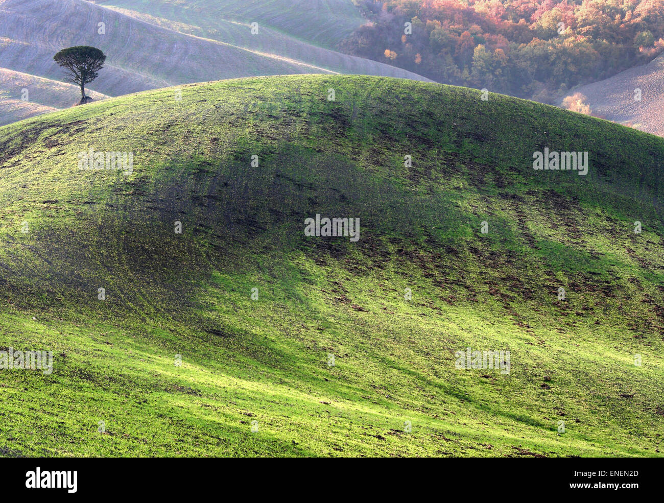 Hill in tuscany italy hi-res stock photography and images - Alamy