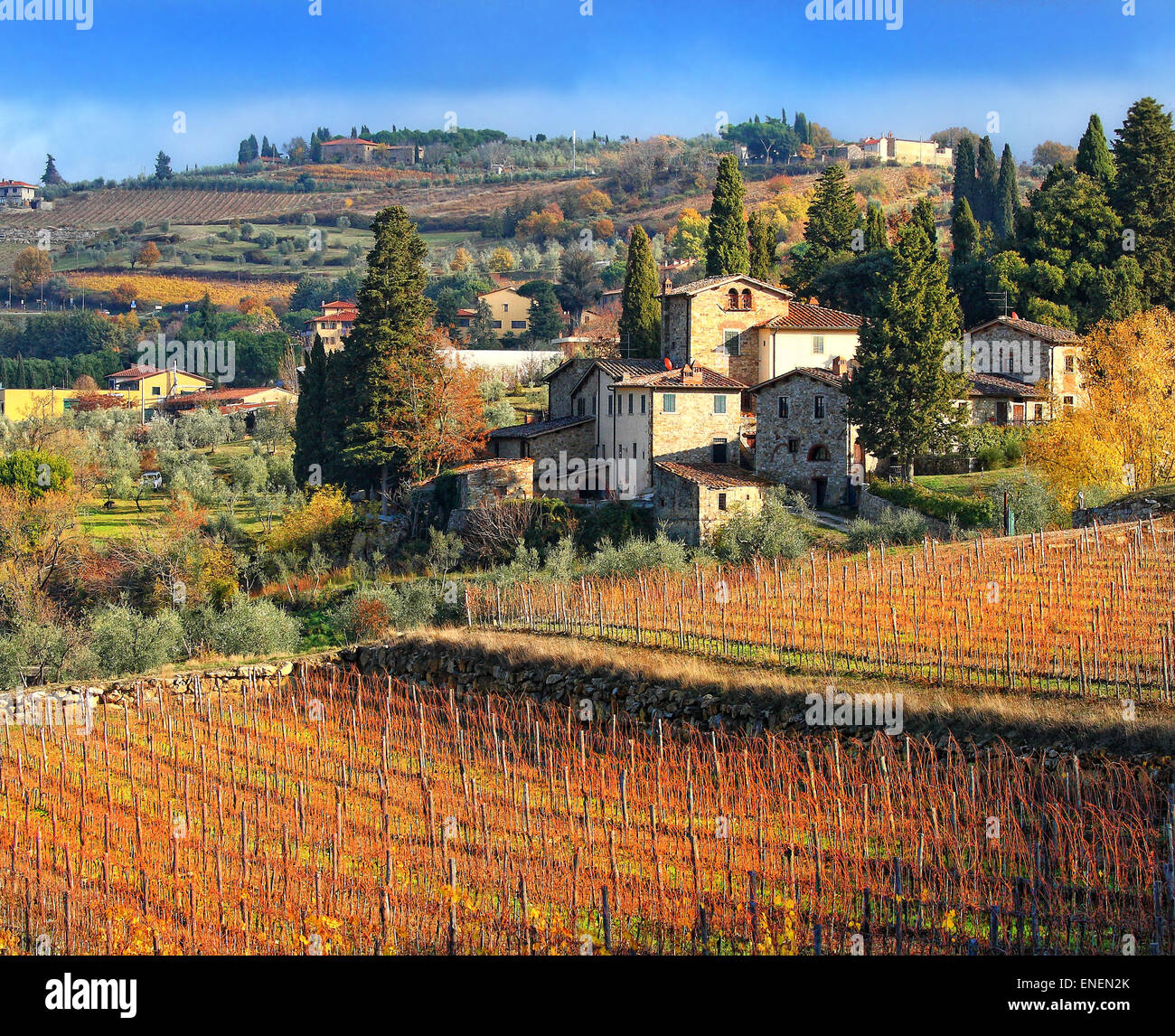 Tuscan landscape with vineyards in autumn Stock Photo - Alamy