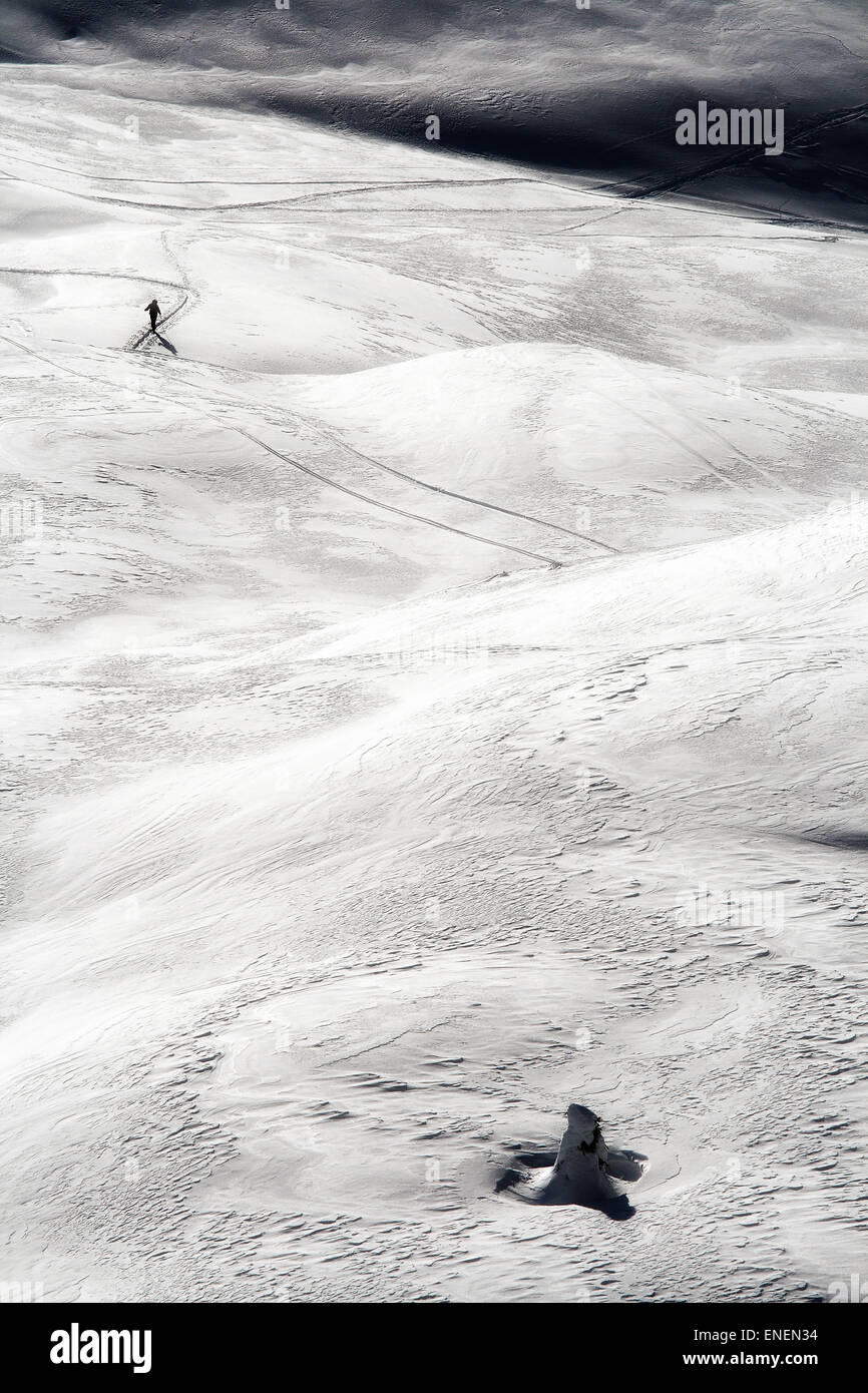 Alone in the snow Stock Photo - Alamy