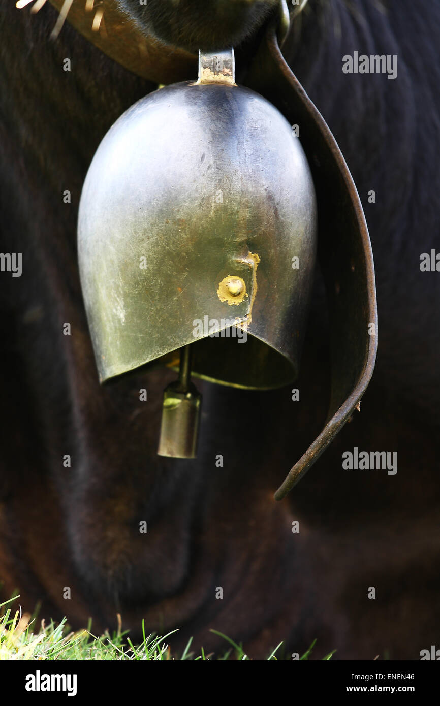 Old cow bell hi-res stock photography and images - Alamy