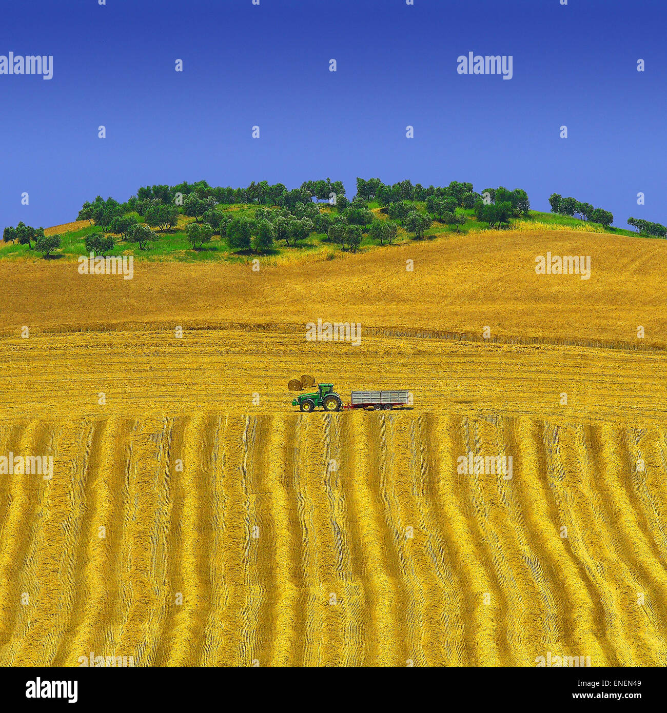 Oasis over a hill in tuscany Stock Photo - Alamy