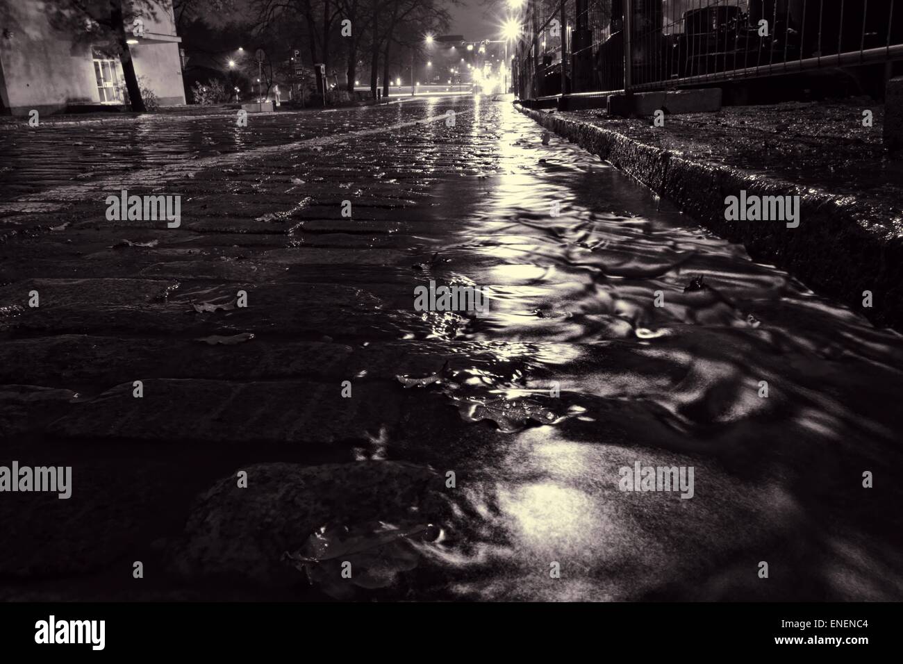 Cobblestone Street Night