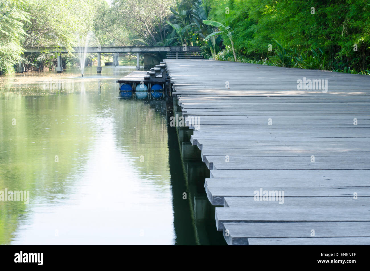 nature way in small forest with canal Stock Photo - Alamy