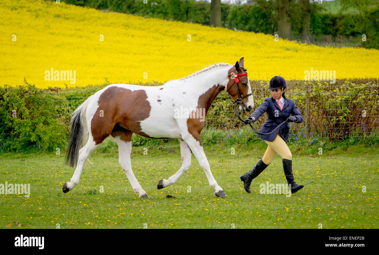 Riders and their horses take part in a local Riding Club Show held at ...