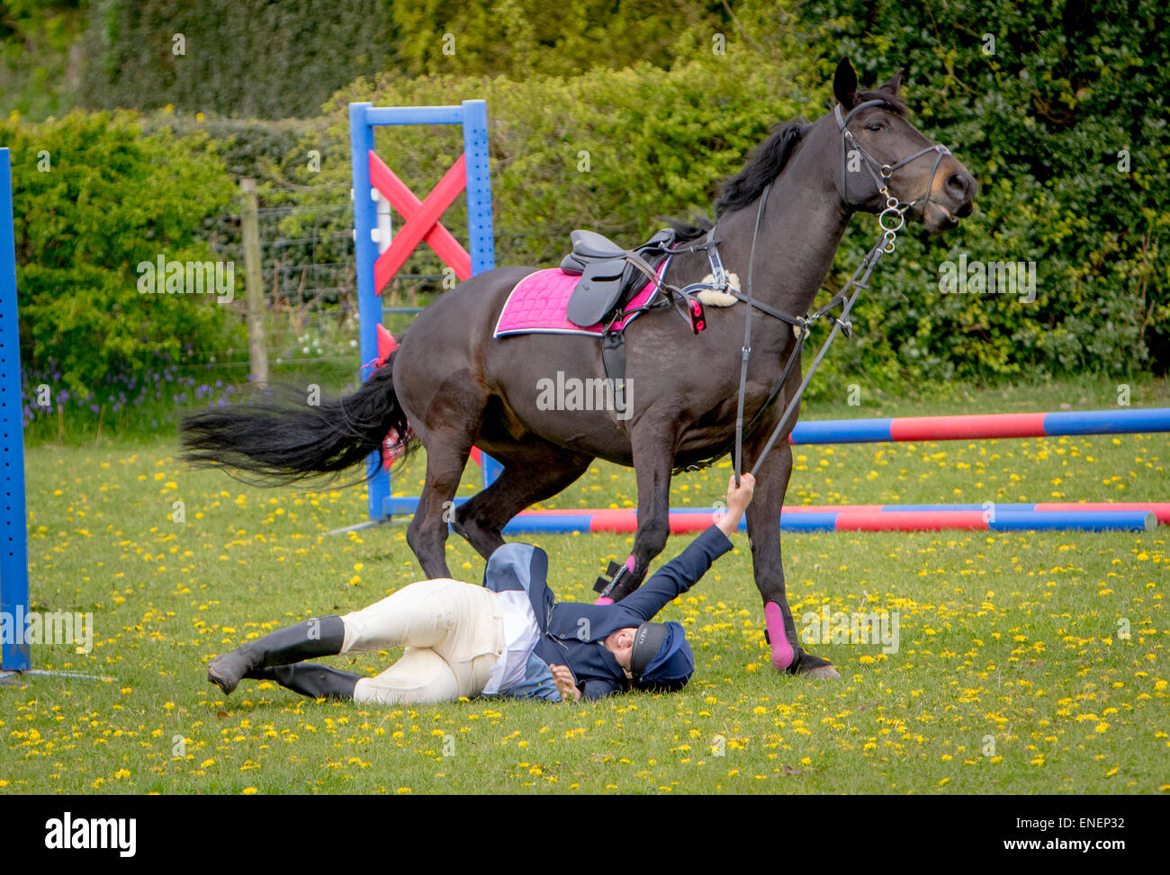 Rider Falling Of A Horse High Resolution Stock Photography and Images ...