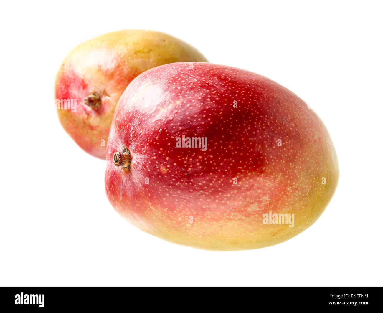Whole mango fruits, red, green and yellow colours - white background ...