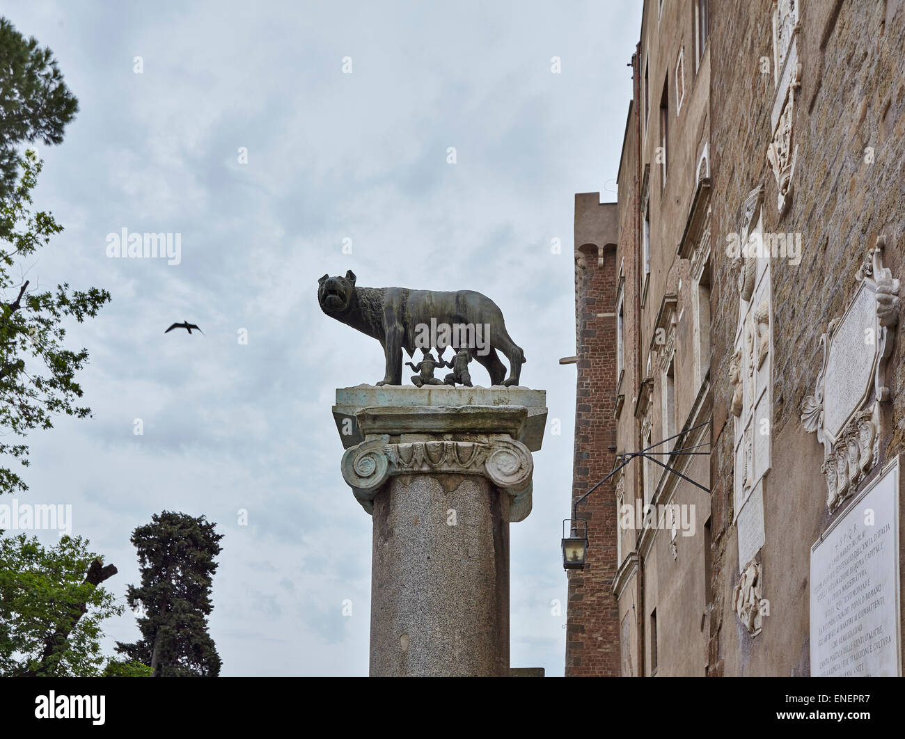wolf romulus remus history Spring trip to Rome from 24th to 28th of ...
