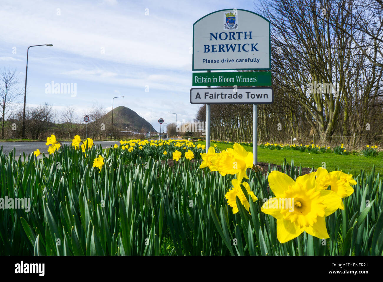 North Berwick Town Sign and daffodils, Tantallon Road - North Bewrick ...
