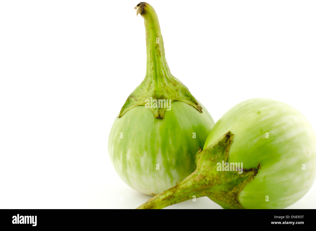 Cockroach Berry isolated on white background Stock Photo - Alamy
