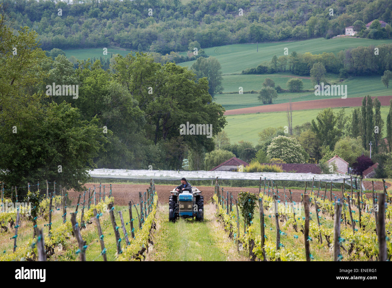 Vineyard tractor hi-res stock photography and images - Alamy