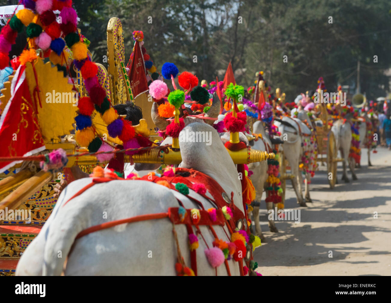 Decorated Ox Cart During A Novice Parade, Bagan, Myanmar Stock Photo ...