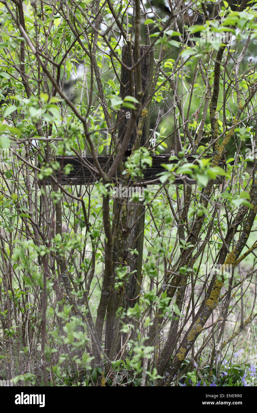 old wooden cross in the bushes and trees Stock Photo - Alamy