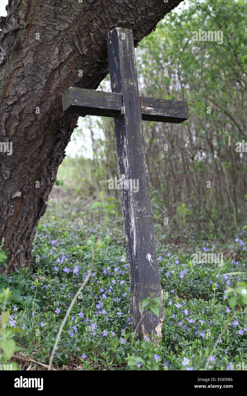 Old wooden cross under the tree Stock Photo - Alamy