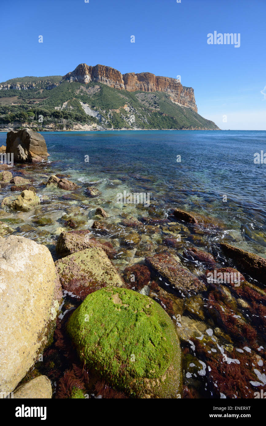 Cap Canaille Headland and Sea Cliffs Cassis Provence. At 394m the ...