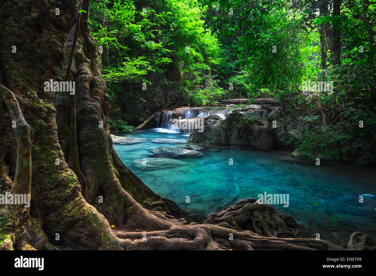 Jangle landscape with flowing turquoise water of Erawan cascade ...