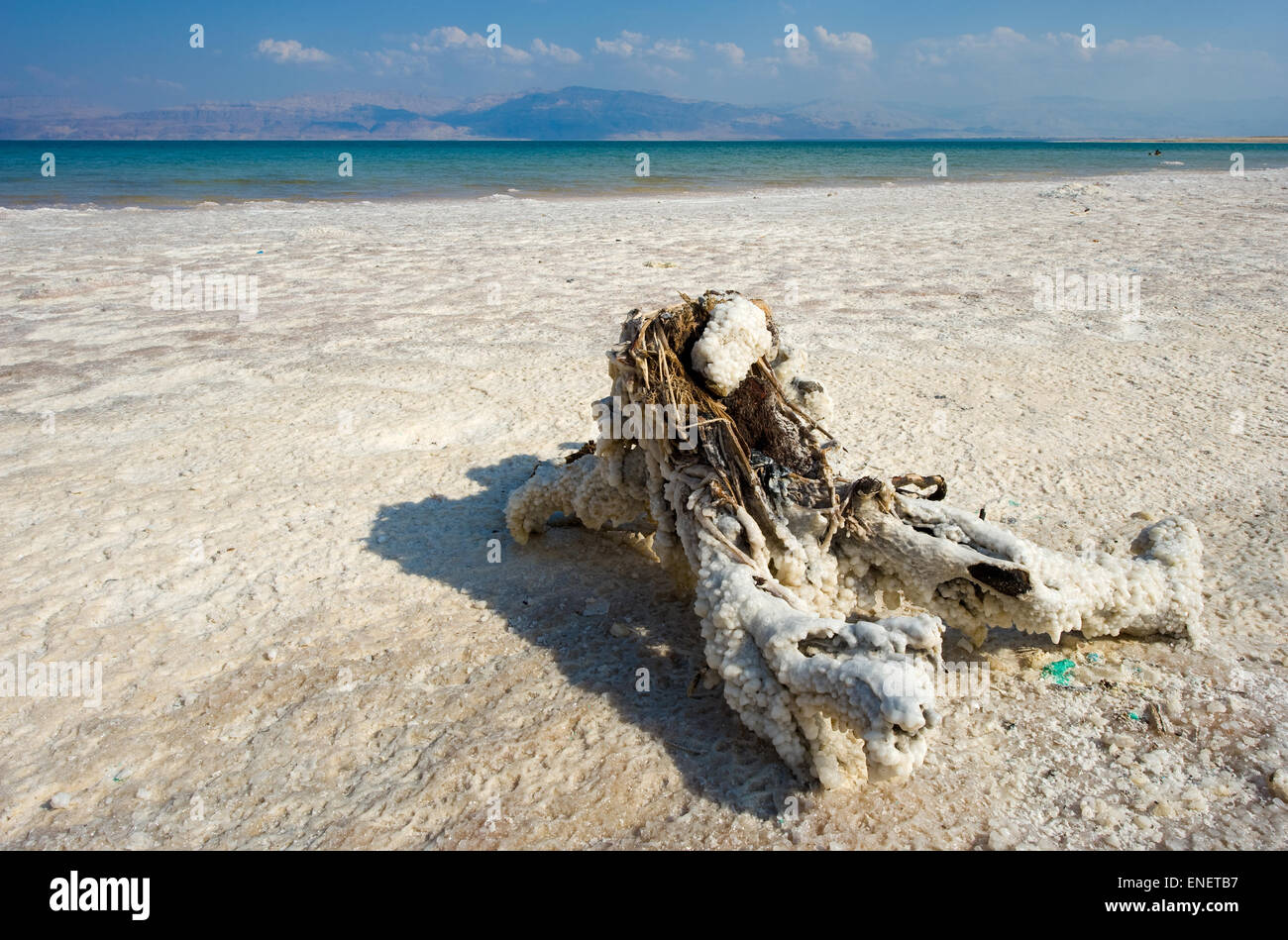 Salt on a beach of the dead sea in Israel Stock Photo - Alamy