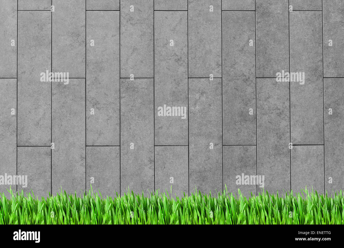 Natural background with clean building wall and green grass Stock Photo ...