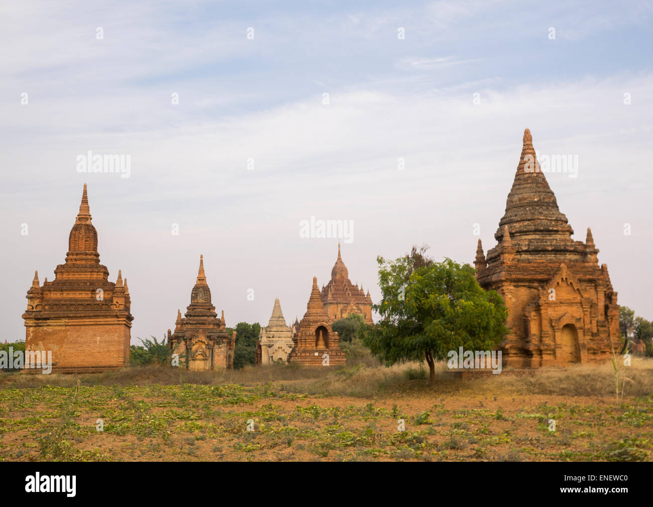 Bagan Plain Dotted With Thousands Of Temple Ruins, Bagan, Myanmar Stock ...