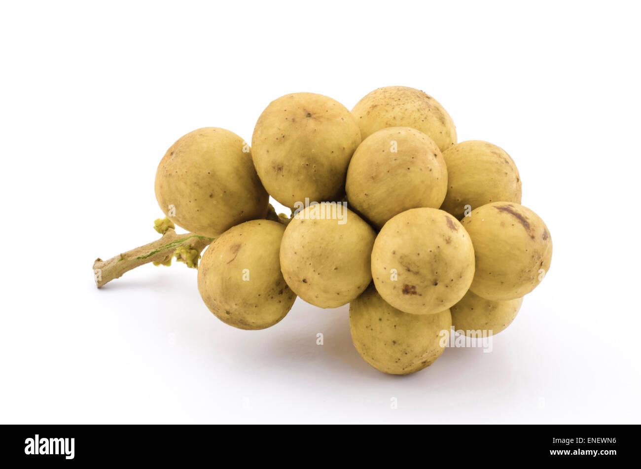 Lansium domesticum isolated on white background Stock Photo - Alamy