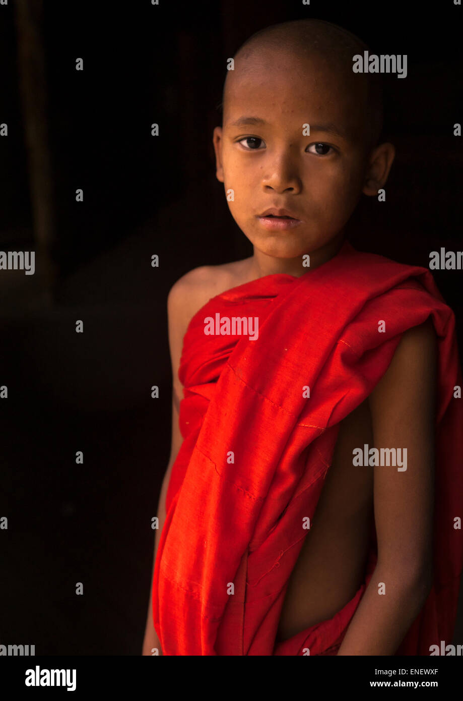 Taung child hi-res stock photography and images - Alamy