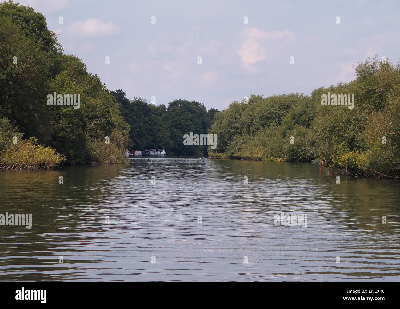 Thames River Reading Berkshire England UK Stock Photo - Alamy