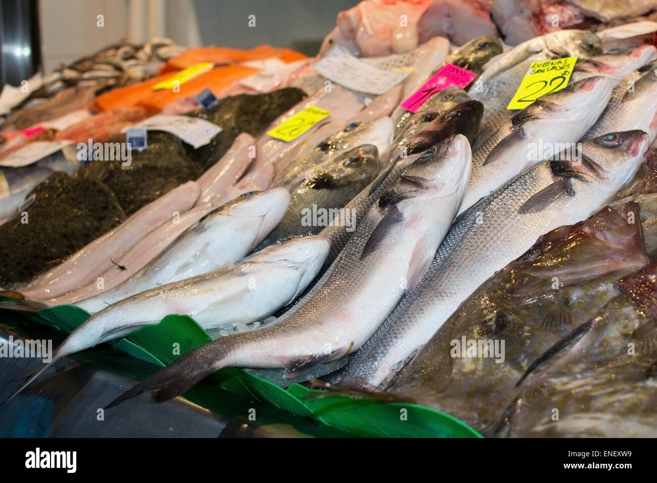 Fresh fish on display in Santa Catalina market on April 21, 2015 in ...