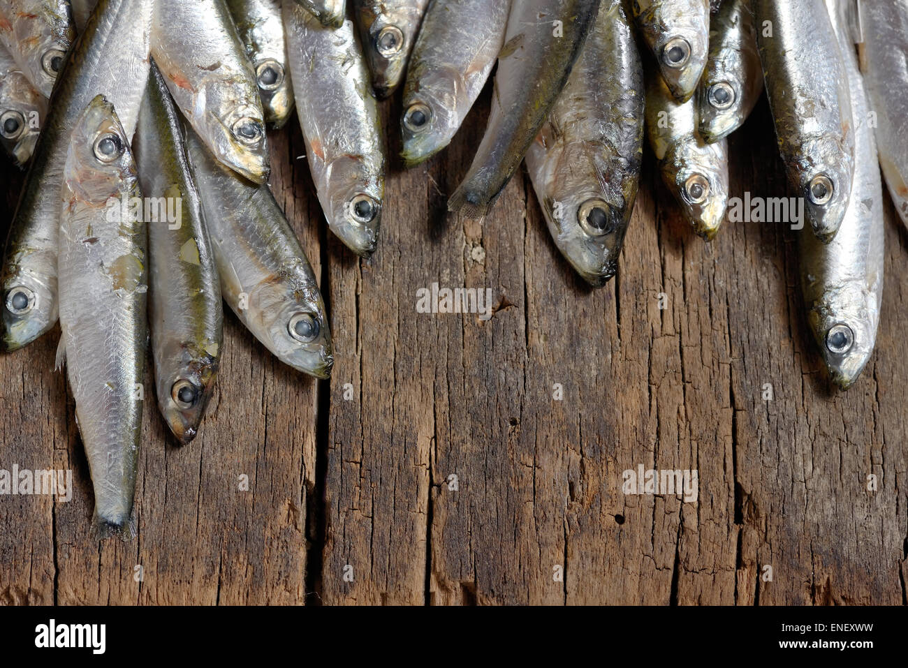 Heap of small fresh anchovies Stock Photo - Alamy