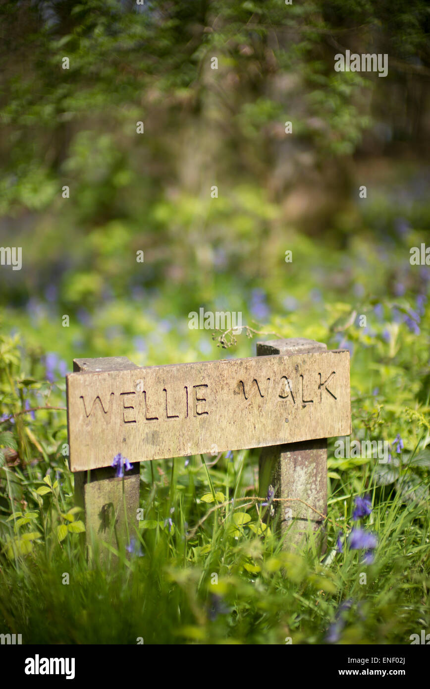 Wellie Walk sign in Bluebell woods, Whalley, Lancashire Stock Photo - Alamy