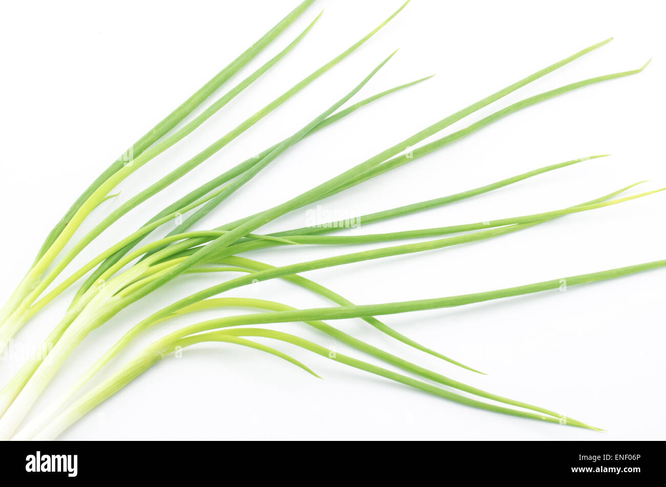 spring onion isolated on white background Stock Photo - Alamy