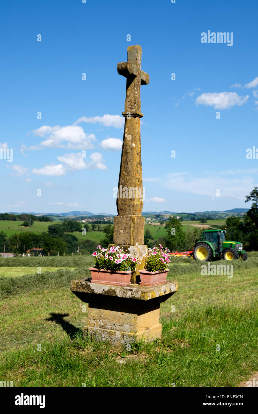 Log pile in garden hi-res stock photography and images - Alamy