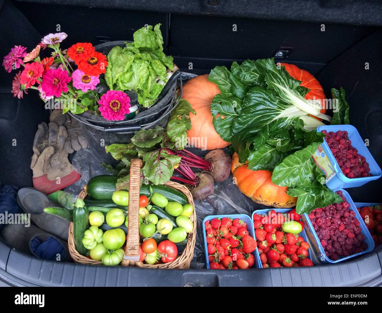 Fruit Picked In Car High Resolution Stock Photography and Images - Alamy