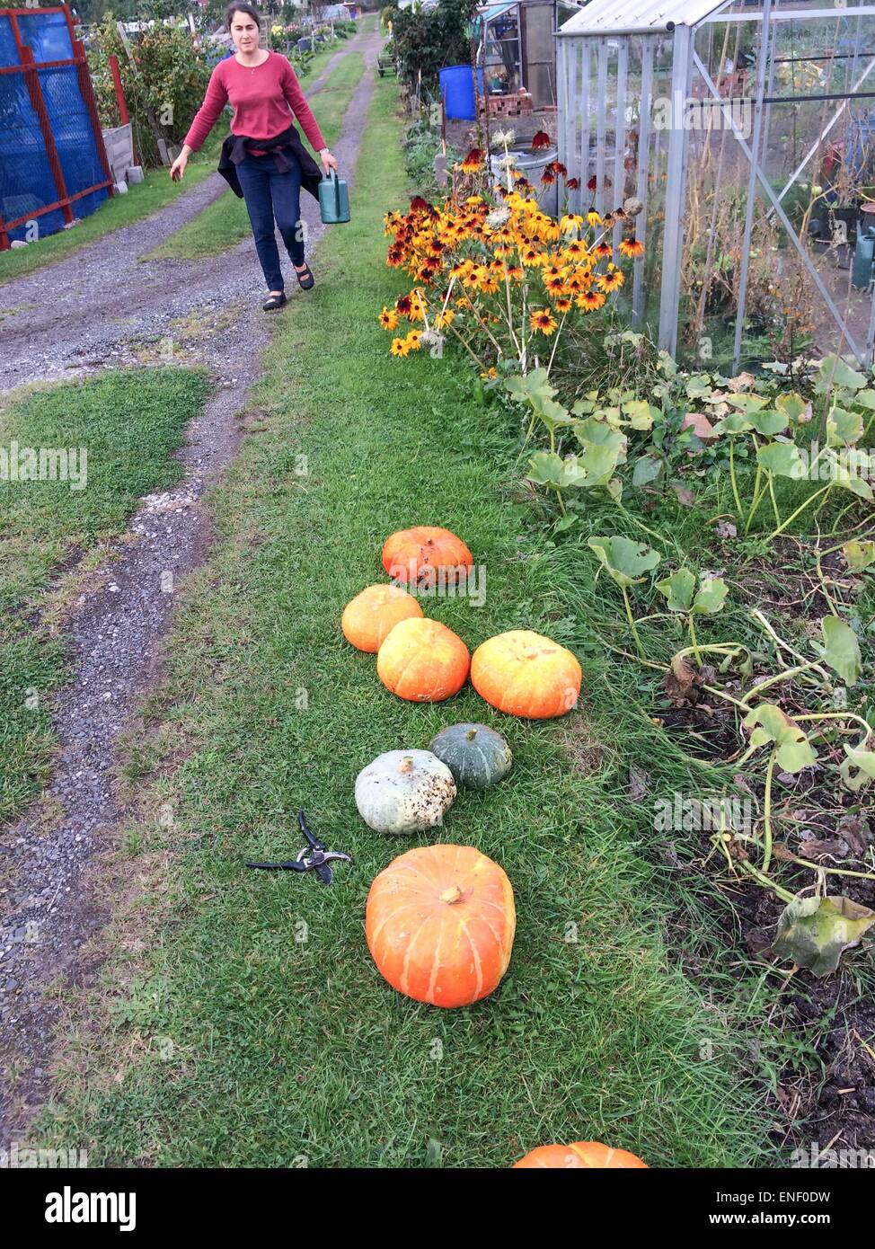 Vegetable plot woman hi-res stock photography and images - Alamy