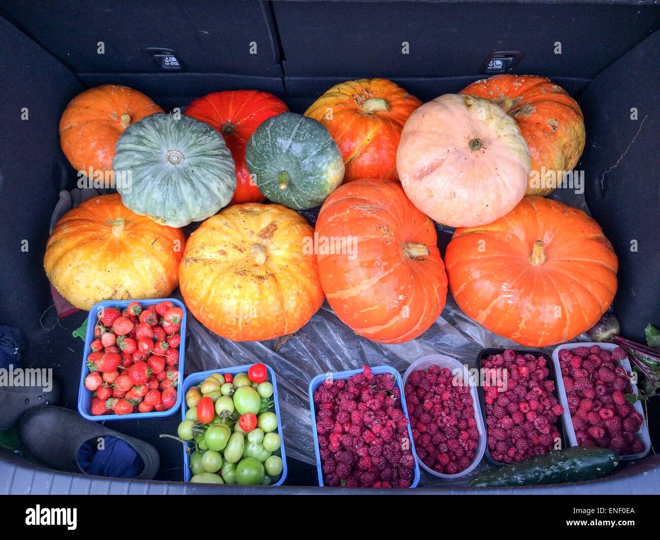 Fruit picked in car hi-res stock photography and images - Alamy