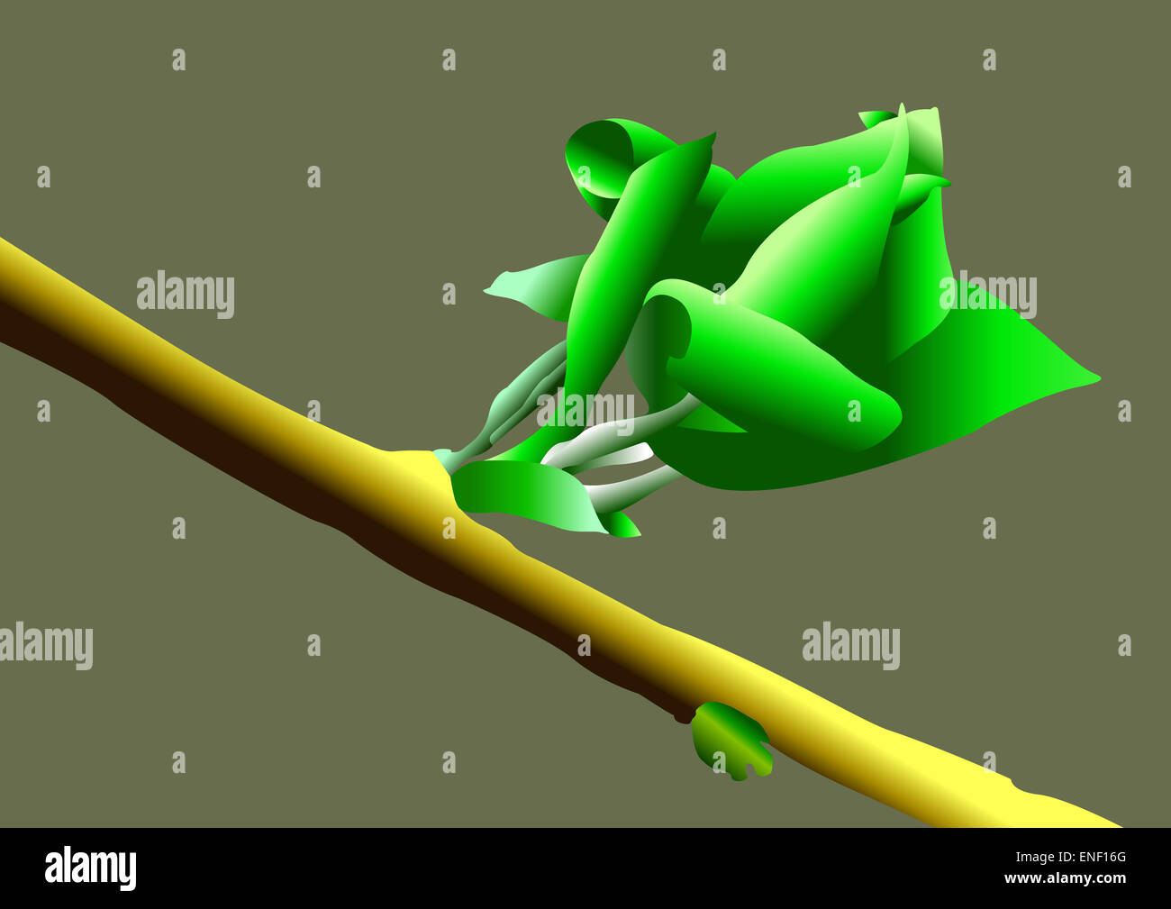 Thin stalk hi-res stock photography and images - Alamy