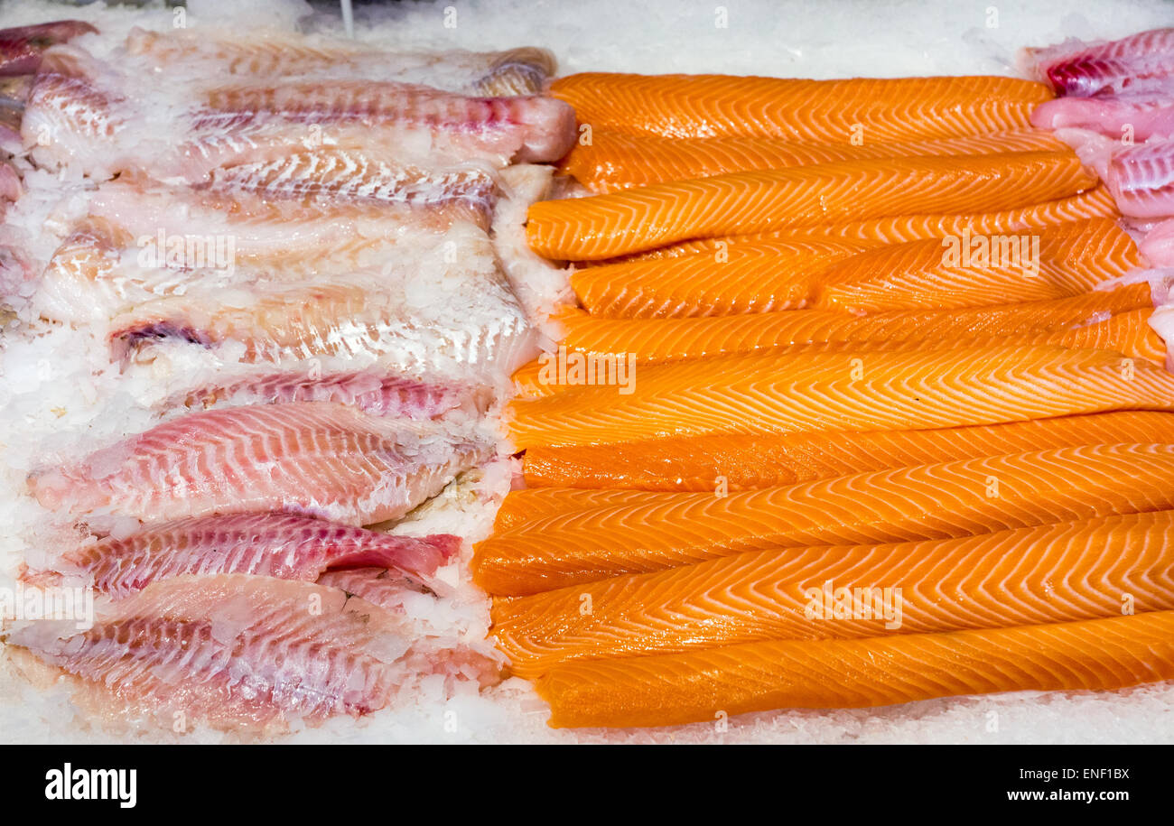 Animal filet fishing hi-res stock photography and images - Alamy
