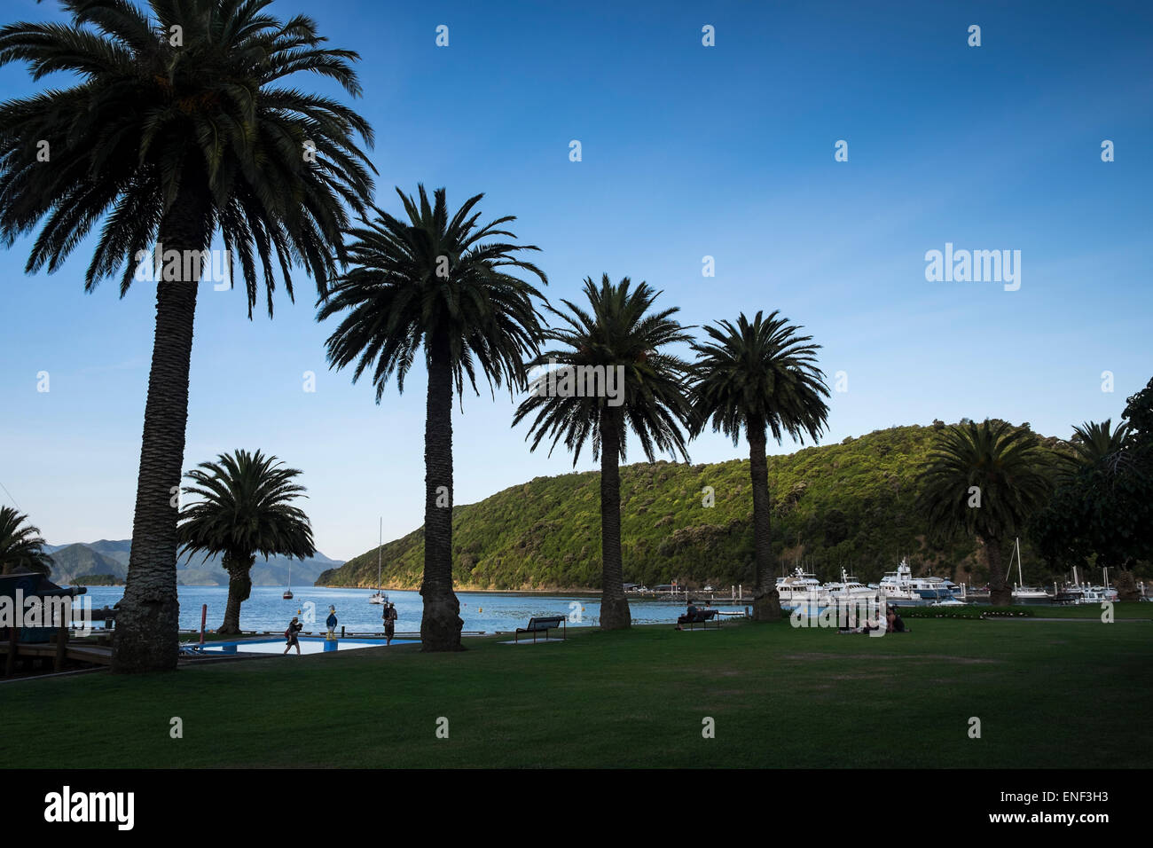 Palm trees and a park along the waterfront at Picton, New Zealand Stock ...