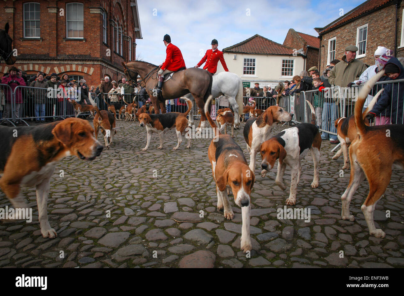 Yorkshire fox hi-res stock photography and images - Alamy