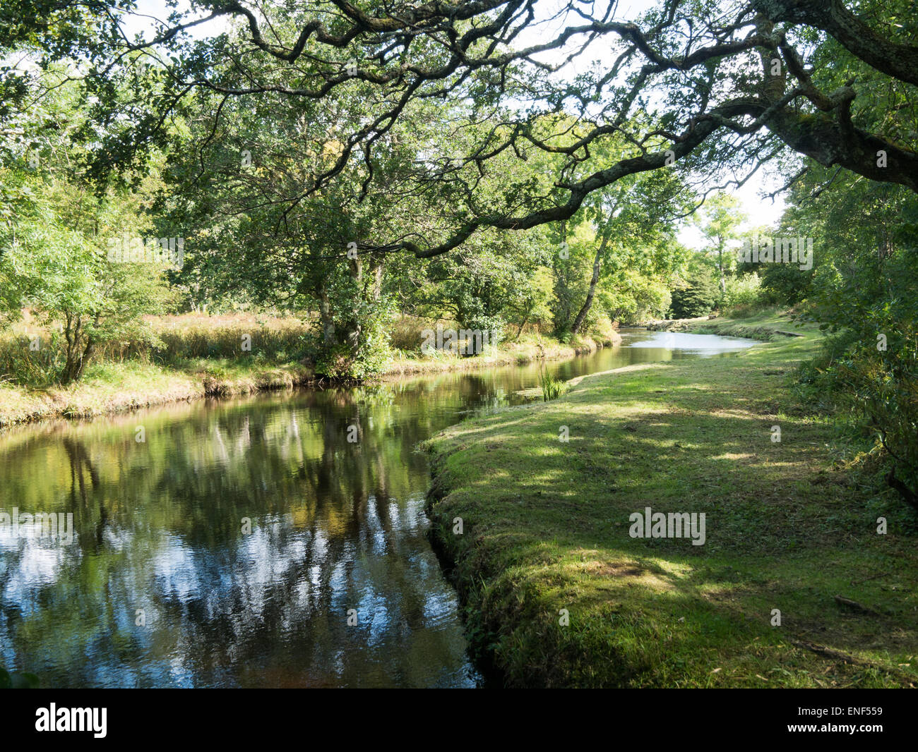 Sorn hi-res stock photography and images - Alamy