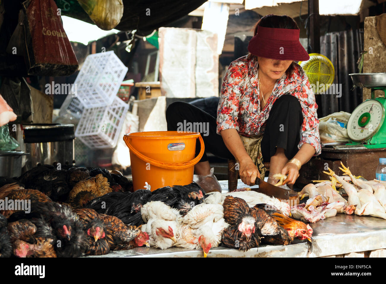 Old woman selling chickens hi-res stock photography and images - Alamy