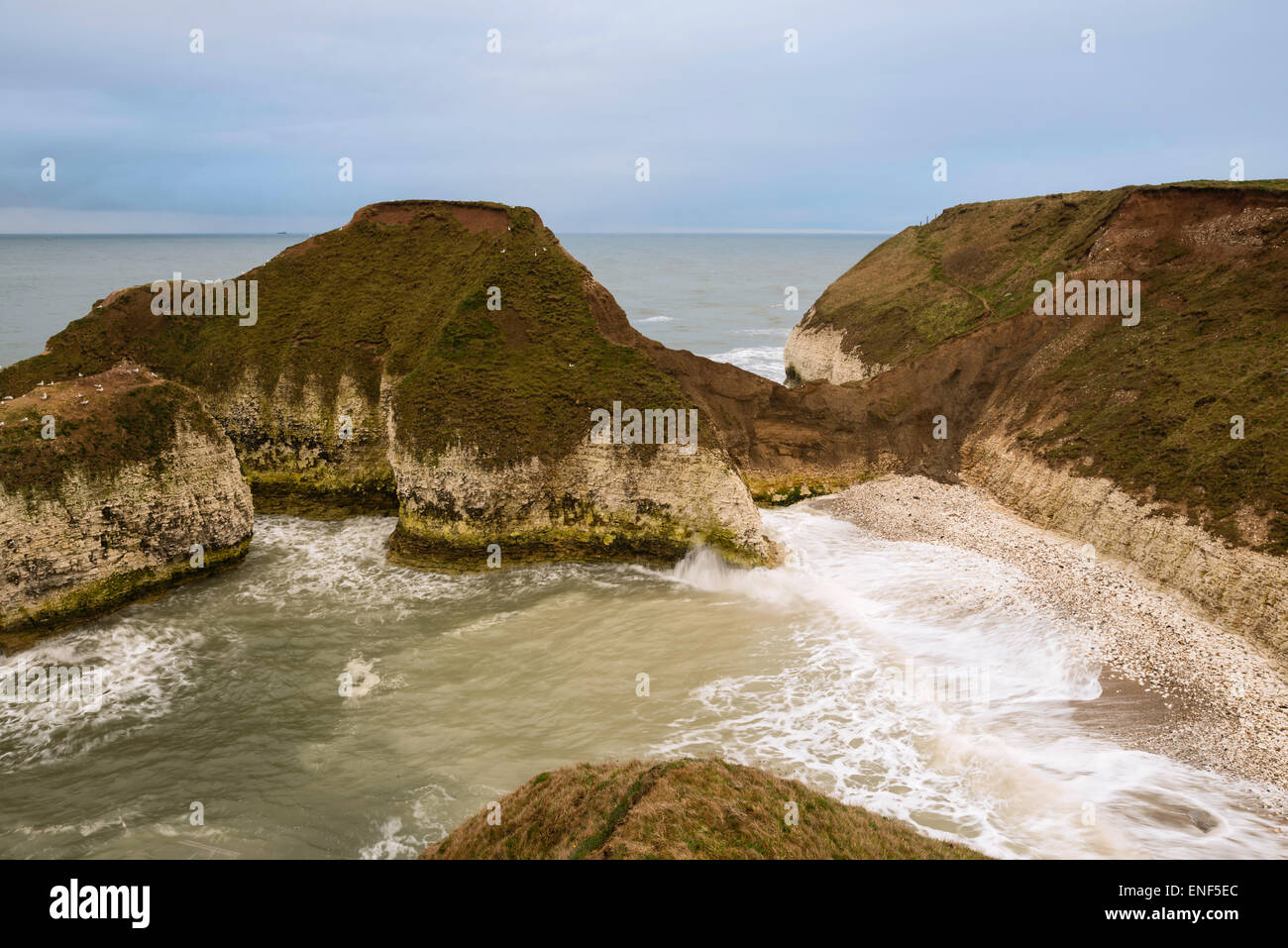 The rugged coastline with high chalk cliffs and flora as dawn breaks ...