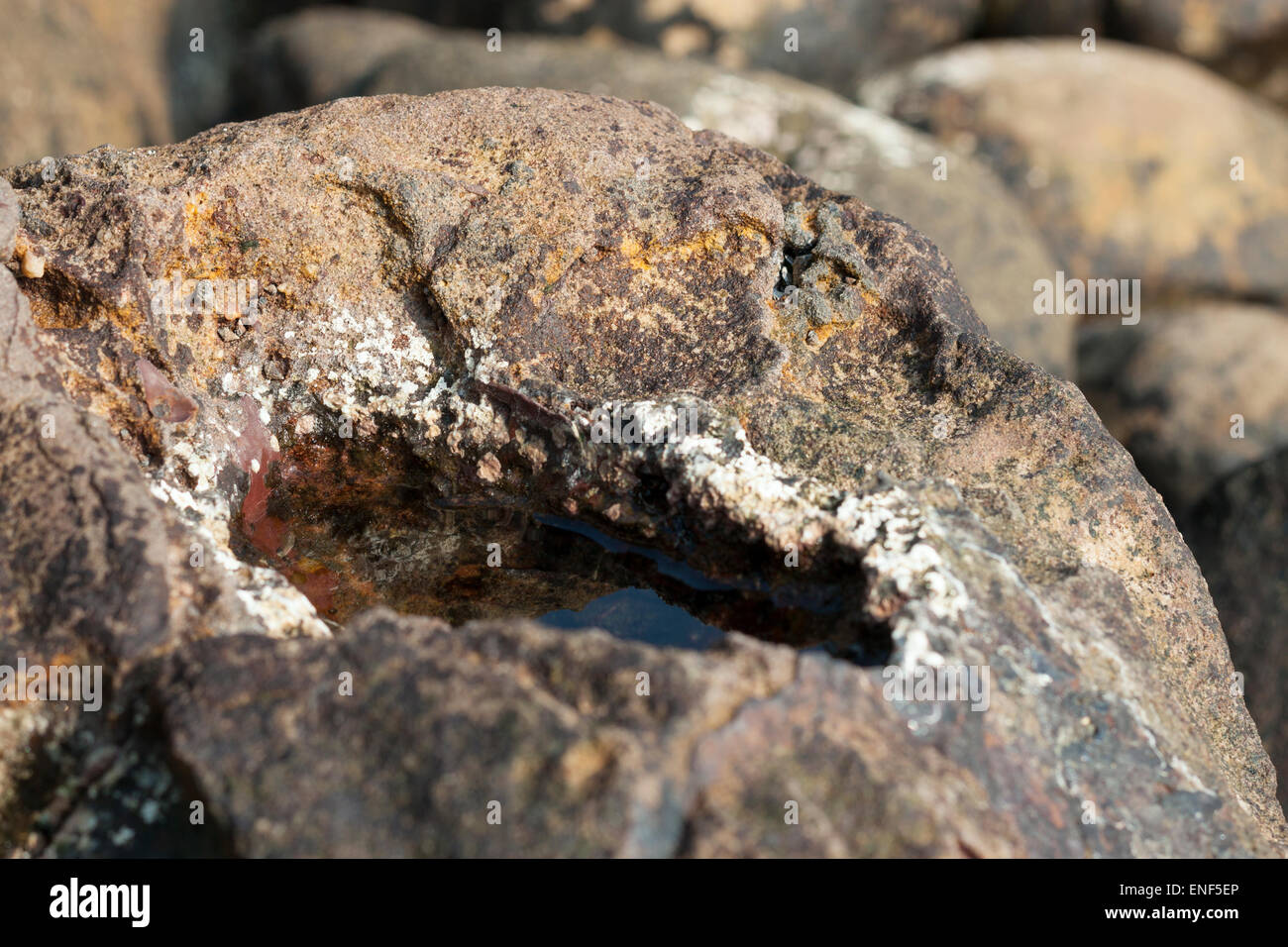 Minerals images hi-res stock photography and images - Alamy