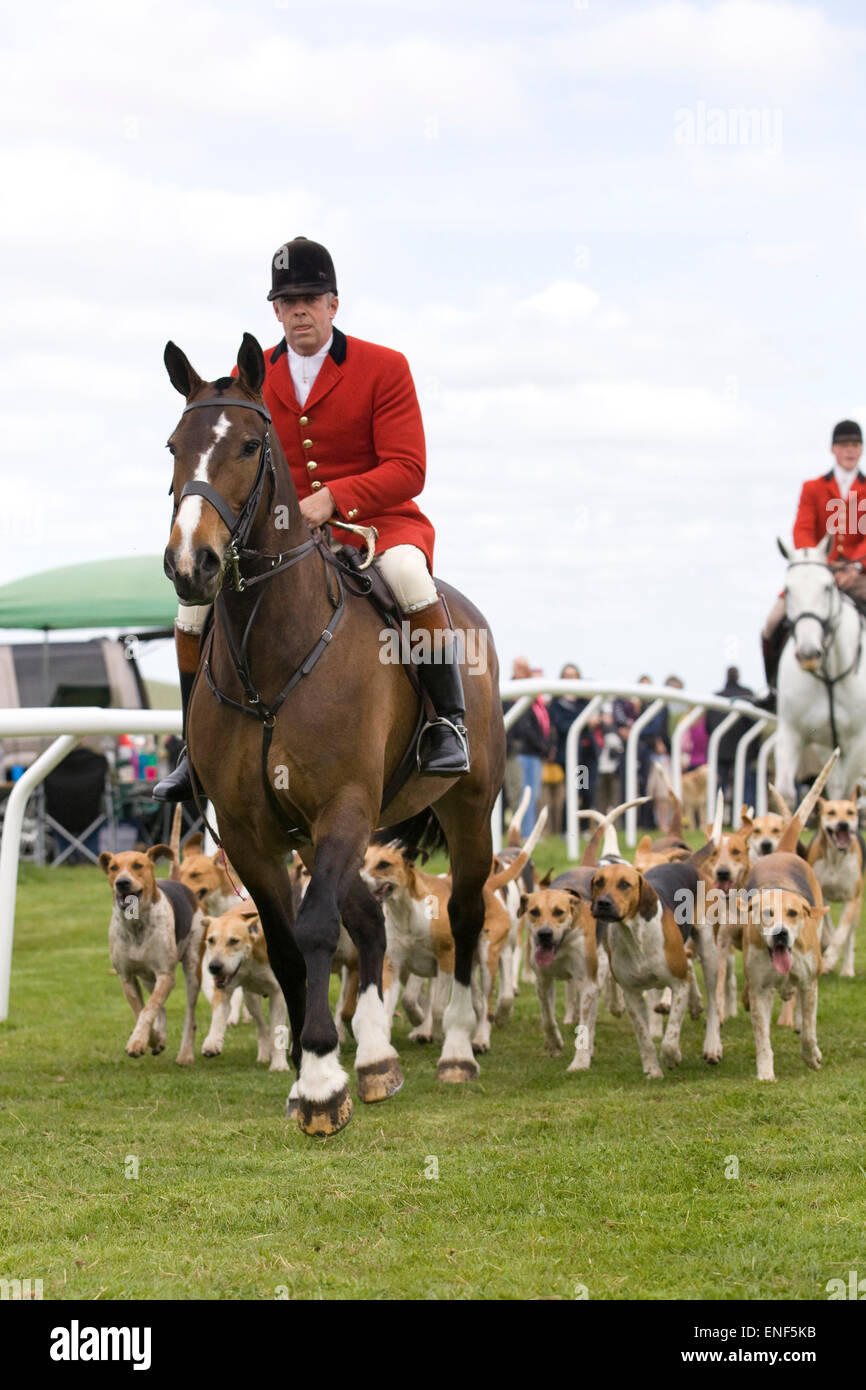 Master of foxhounds hi-res stock photography and images - Alamy