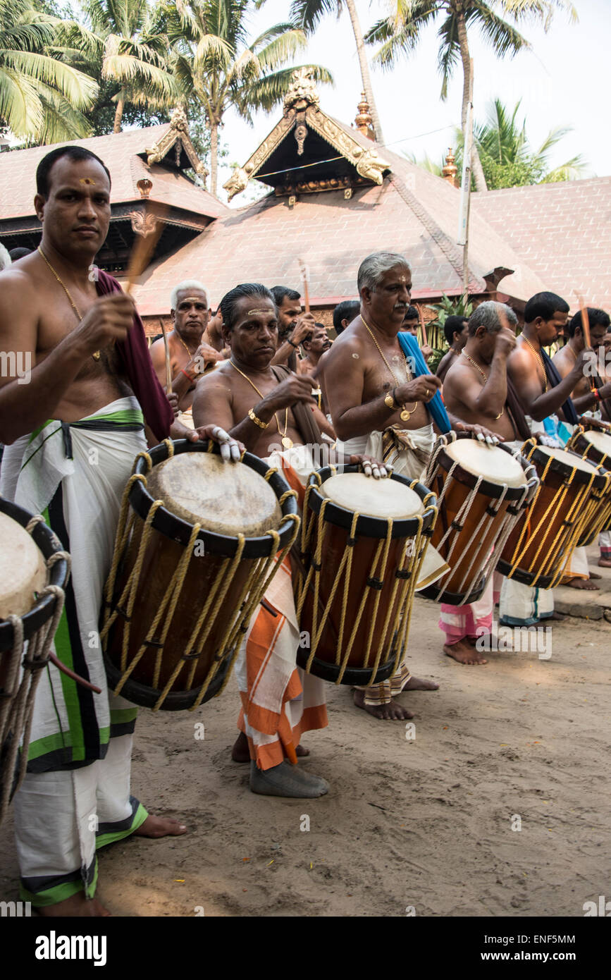 Indian elephants horns hi-res stock photography and images - Alamy