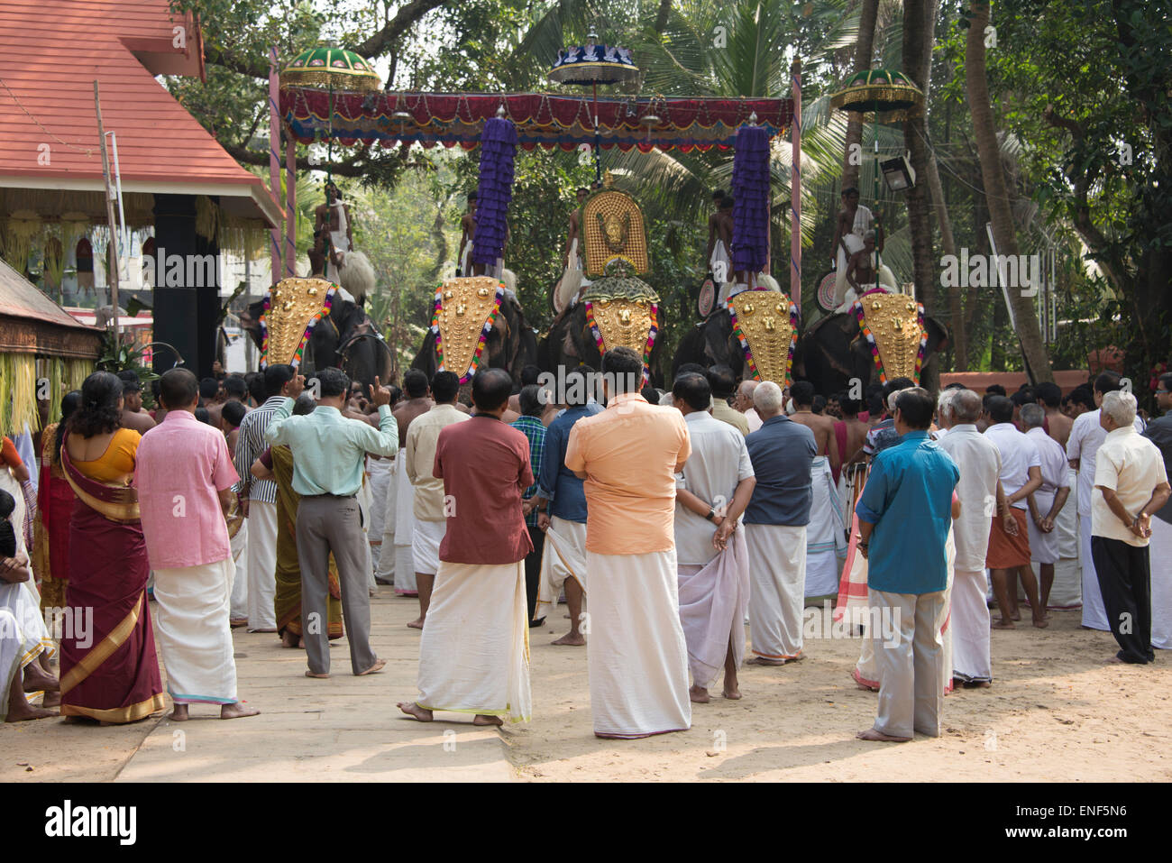 A Hindu ceremony complete with decorated elephants and drumming and ...