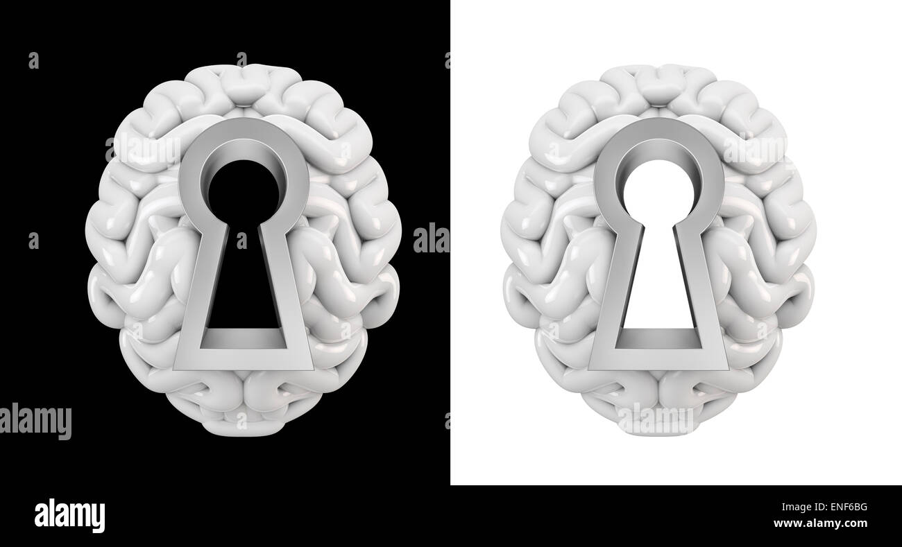 3D render of brain with keyhole shaped hole Stock Photo - Alamy