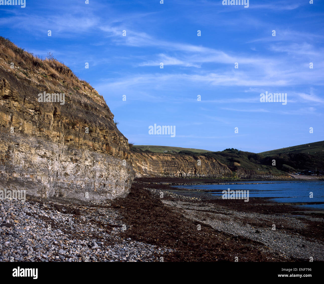 Kimmeridge Bay with it's oil shale cliffs part of The Jurassic Coast of ...