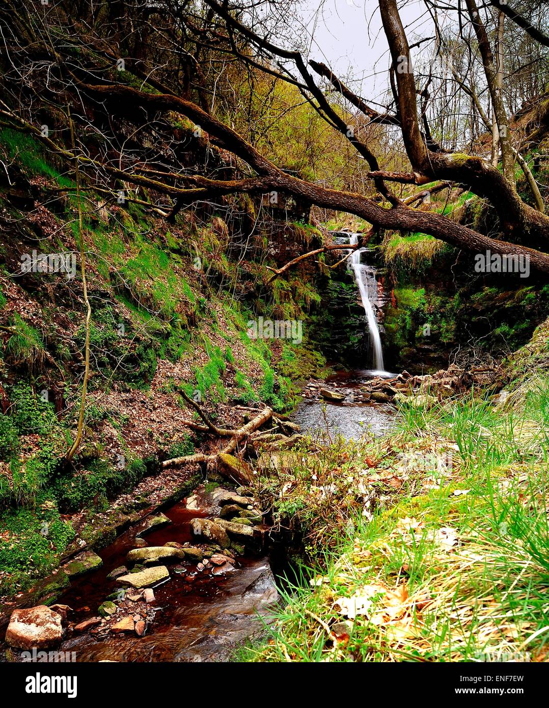 Lead Miners Clough Waterfall, Rivington, Lancashire Stock Photo - Alamy